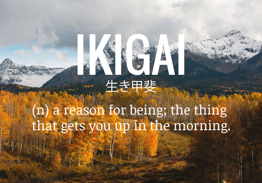 IKIGAI A Reason For Being Sennin So Shiatsu Massage IKIGAI A Reason For Being Sennin So Shiatsu Massage